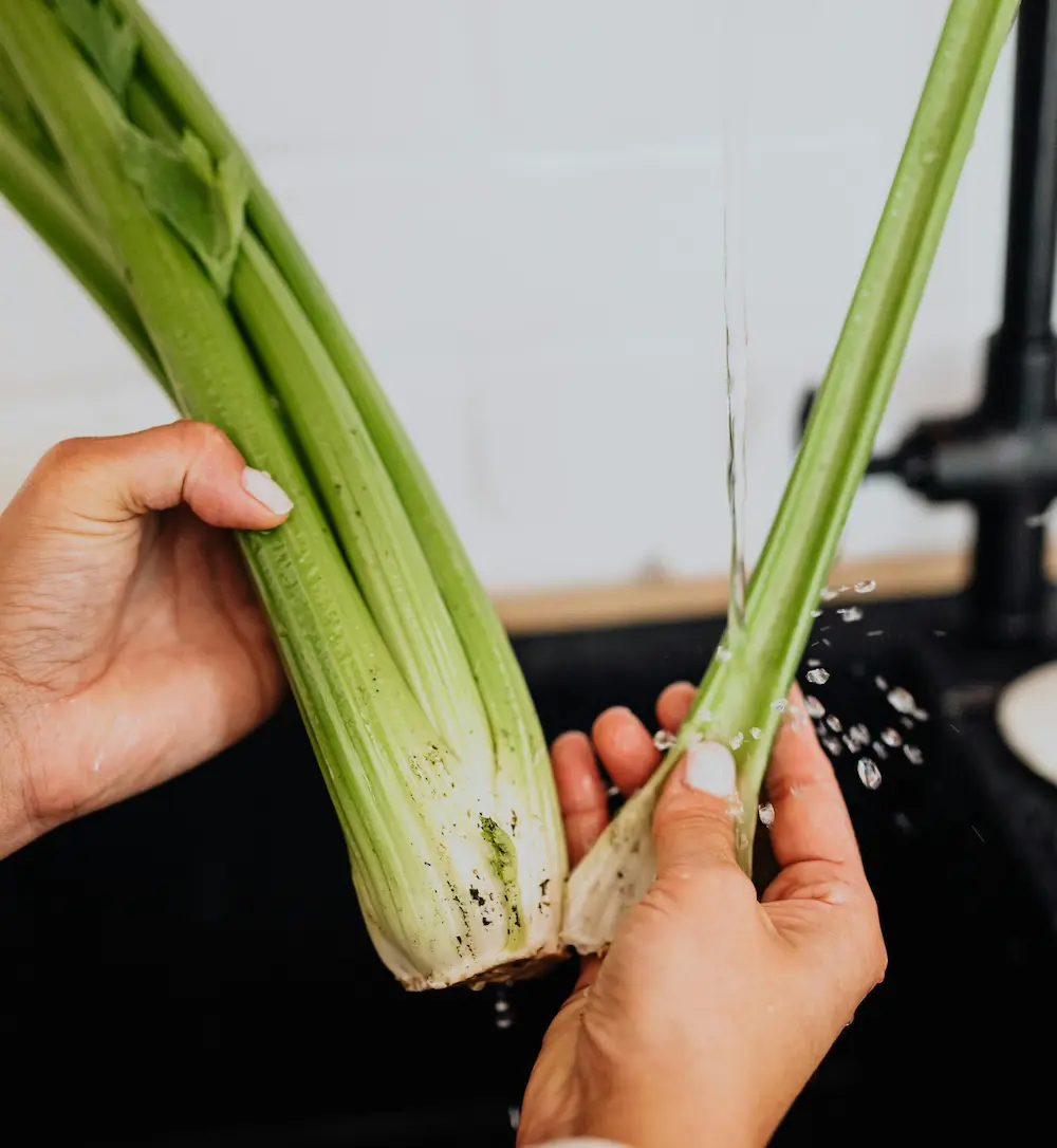 How to Store Celery For Maximum Flavor