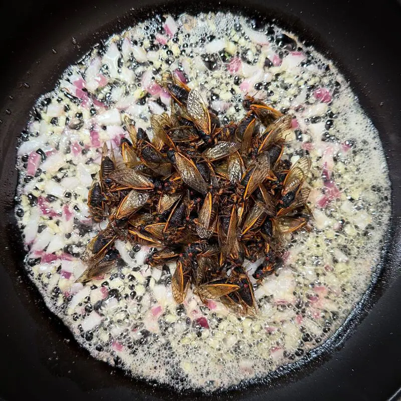 What Do Cicadas Eat In Your Yard And Wild