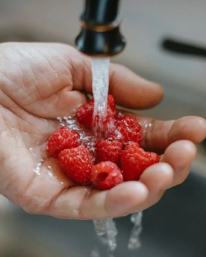 How To Store Raspberries