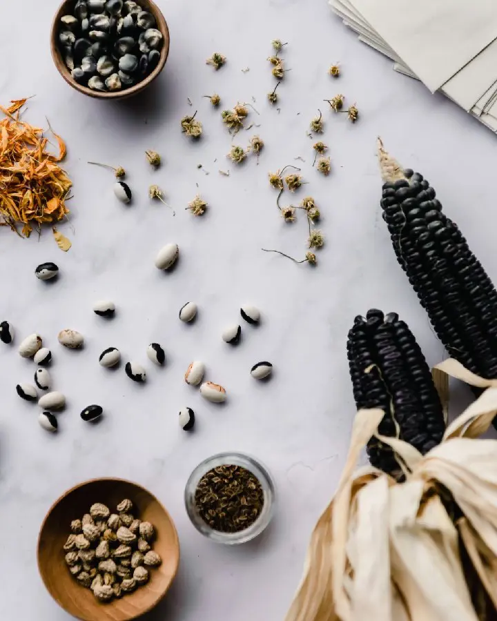 How To Store Seeds Long Term