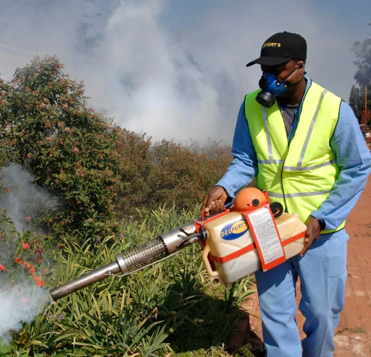 How To Get Rid of Clover Mites, the Tiny Red Bugs