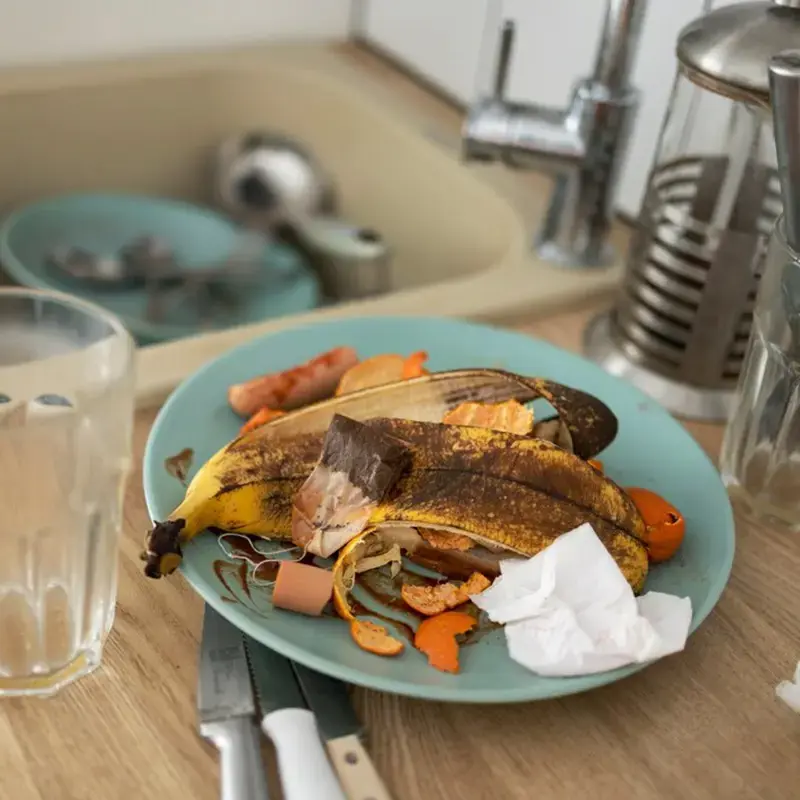 What Do Stink Bugs Eat In Your Home And Wild