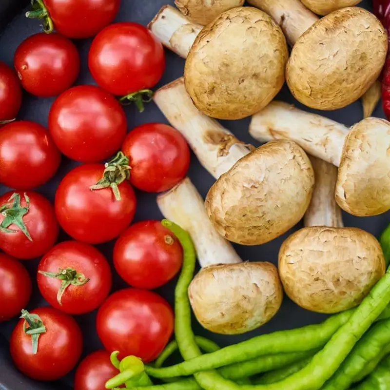 What Do Stink Bugs Eat In Your Home And Wild