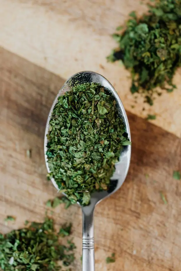 10 Ways To Dry Oregano At Home