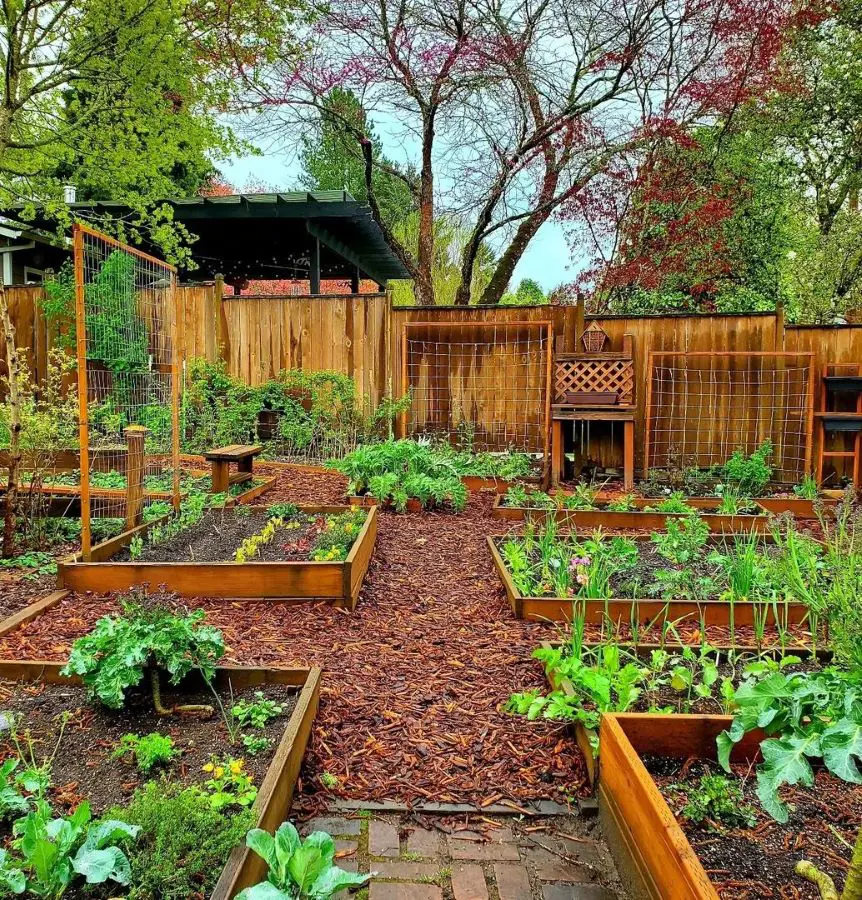 Companion Planting Chart To Grow Your Veggie Garden