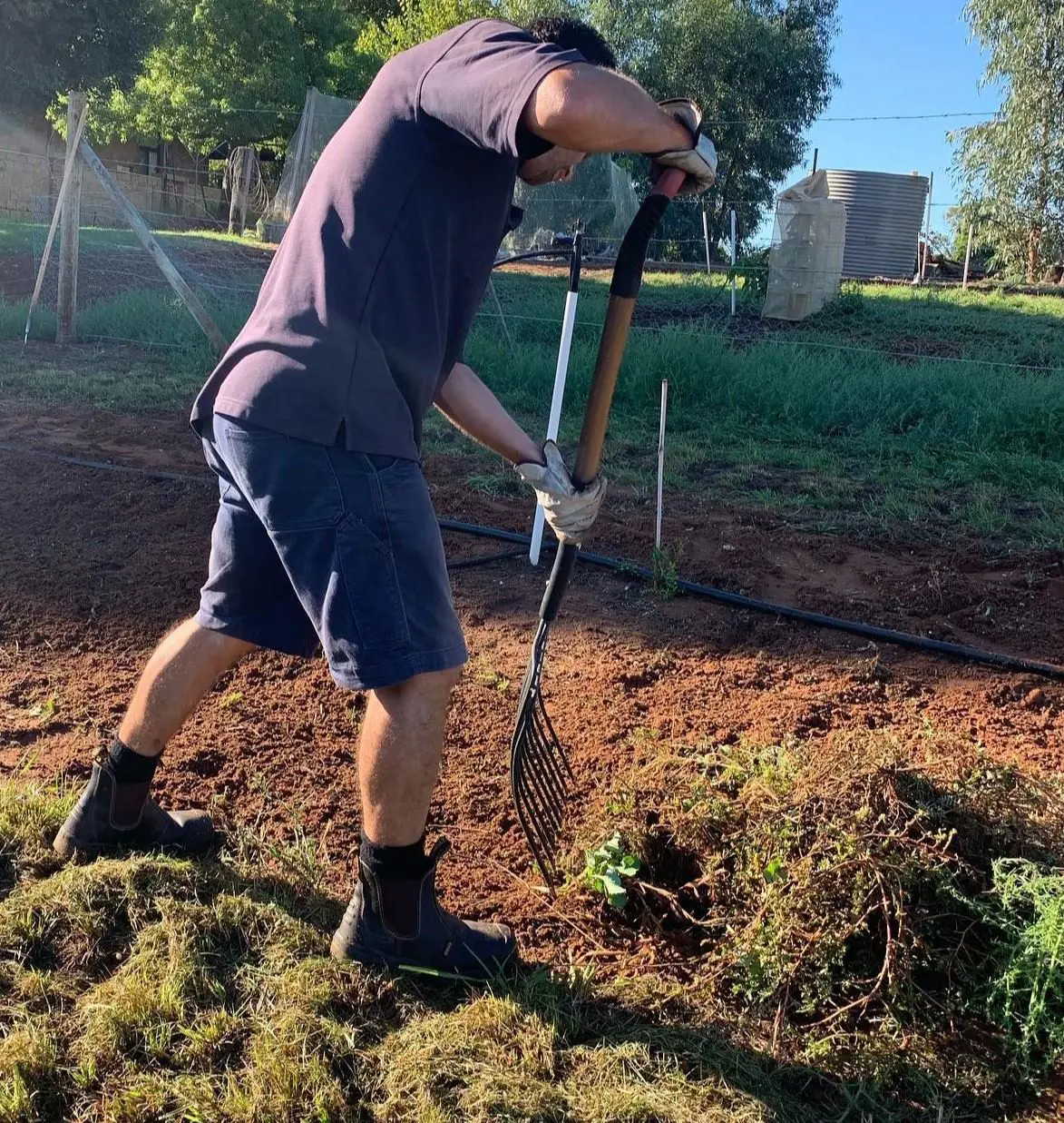 How To Remove Weeds In Your Garden