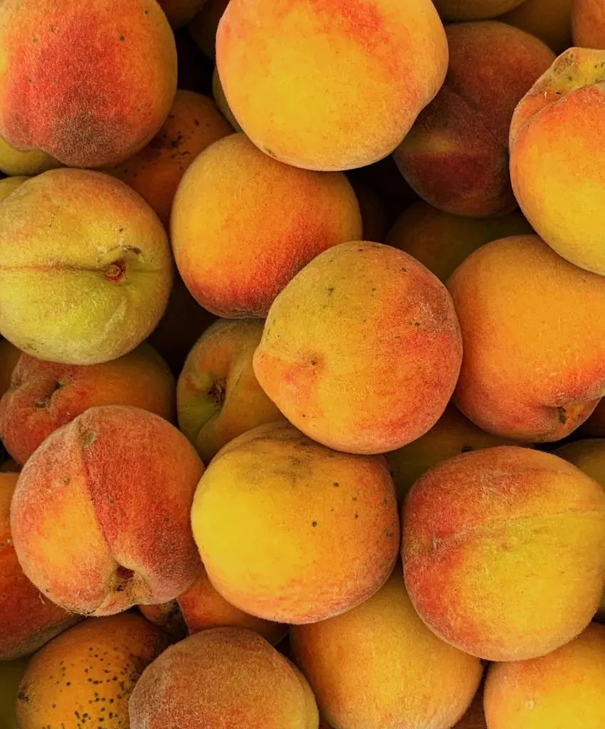 How To Store Peaches?