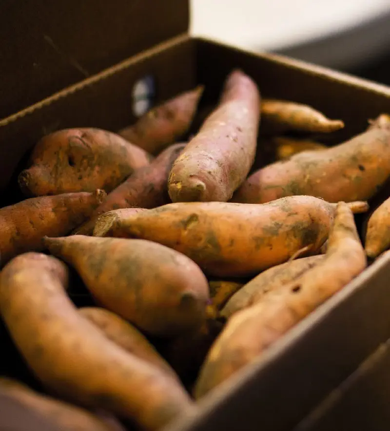 How To Store Sweet Potatoes So They Last Longer
