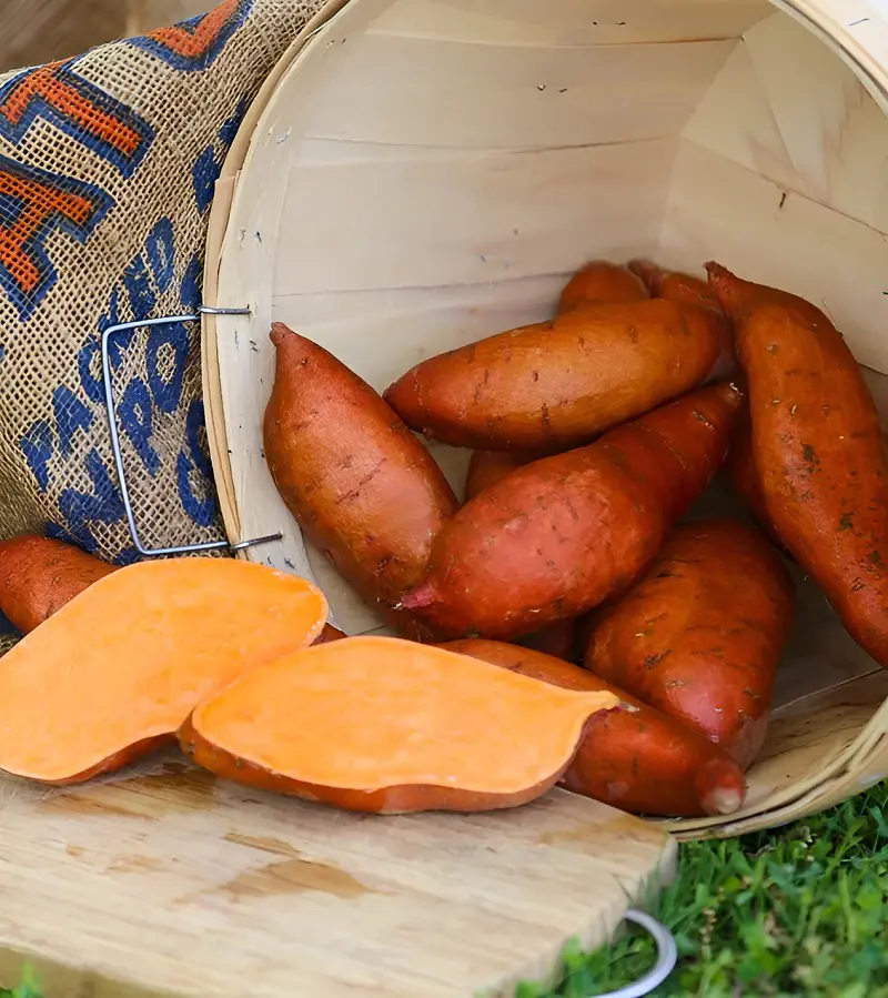 How To Store Sweet Potatoes So They Last Longer