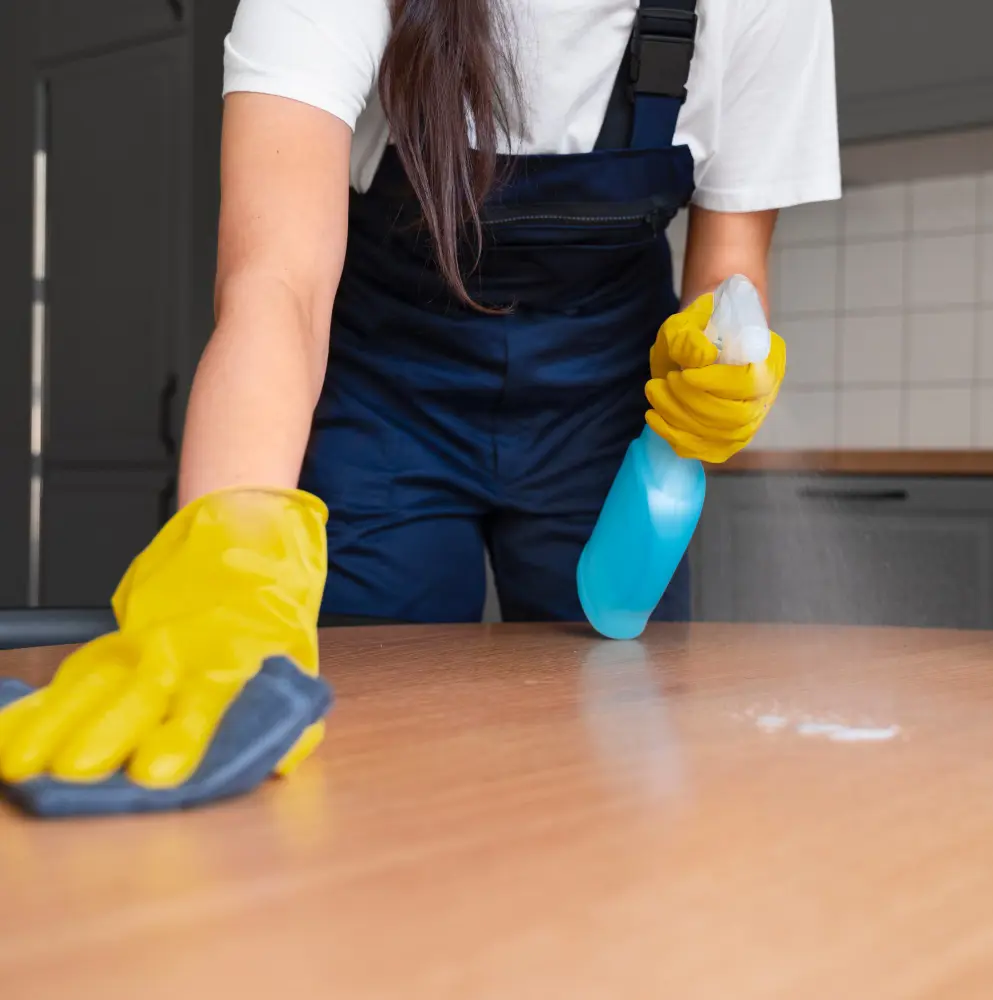 How To Get Rid of Dead Mouse Smell