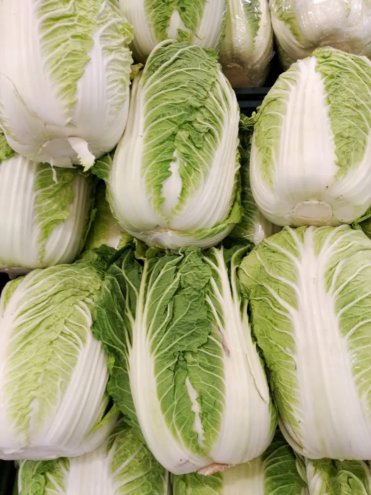 How to Store Cabbage For Longer Shelf Life