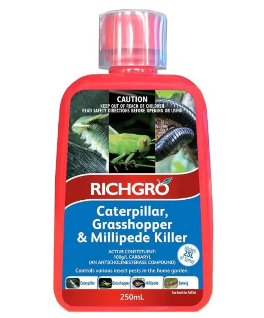 How To Get Rid Of Millipedes In The House