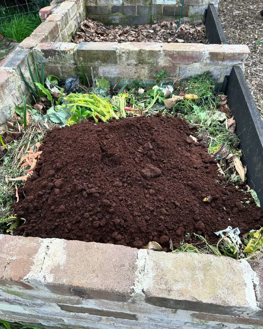 How To Use Coffee Grounds For Plants