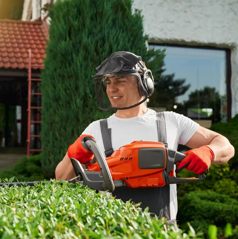 How To Trim Bushes And Hedges