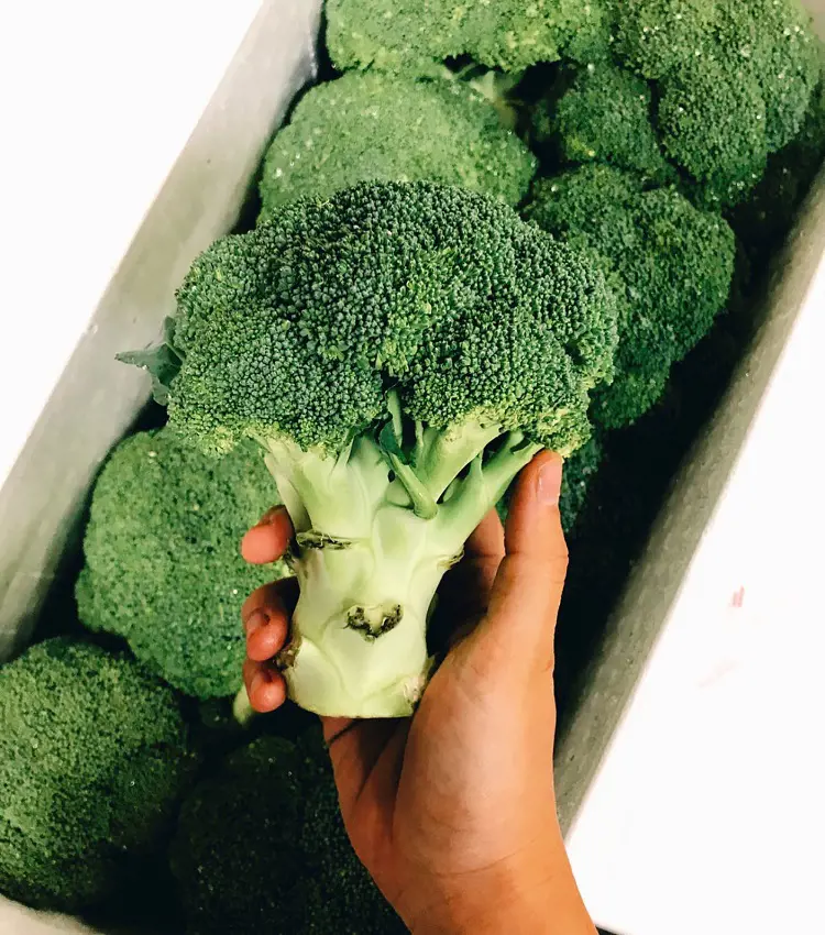 How To Store Broccoli So That It Lasts Longer