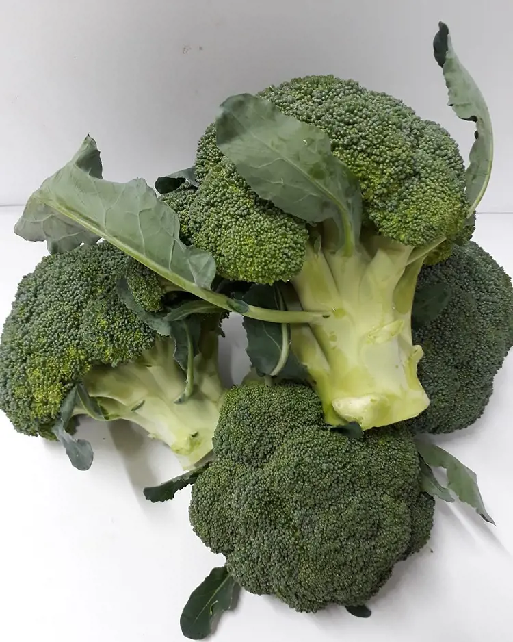How To Store Broccoli So That It Lasts Longer