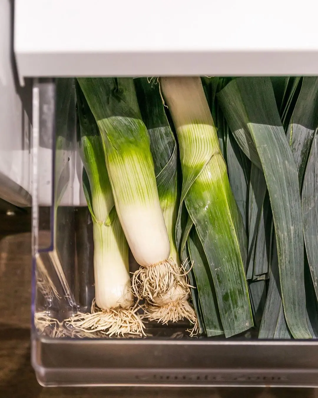 How To Store Green Onions To Keep Them Fresh